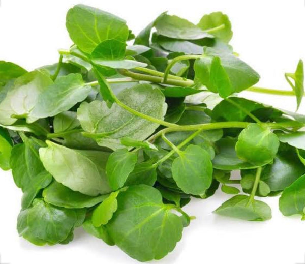 Watercress Pack – Adelaide Fresh Fruiterers Morphett Vale
